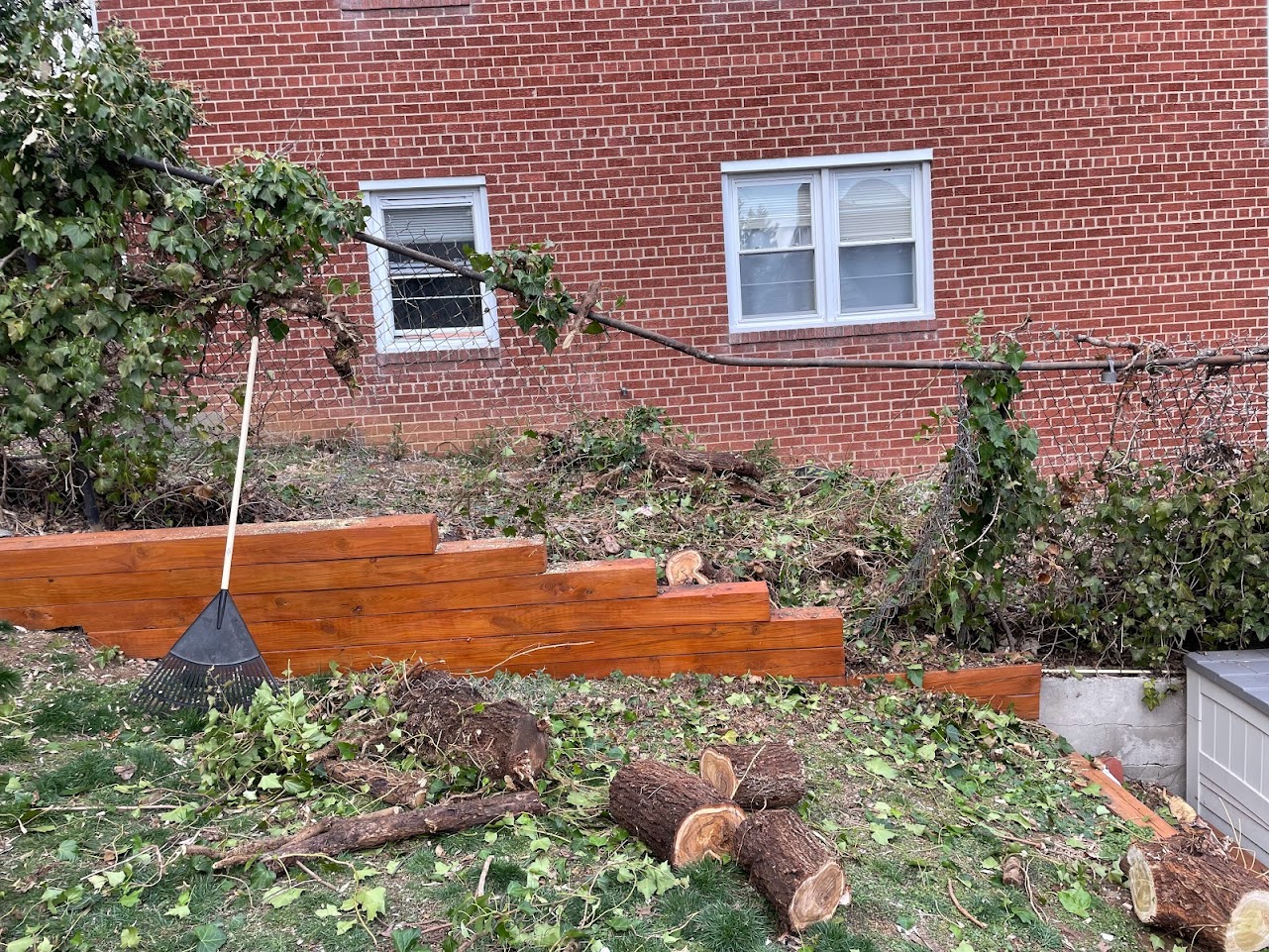 trees-cleared – Millennial Prose